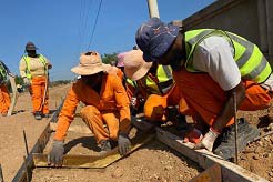 Gallery | Greater Letaba Municipality